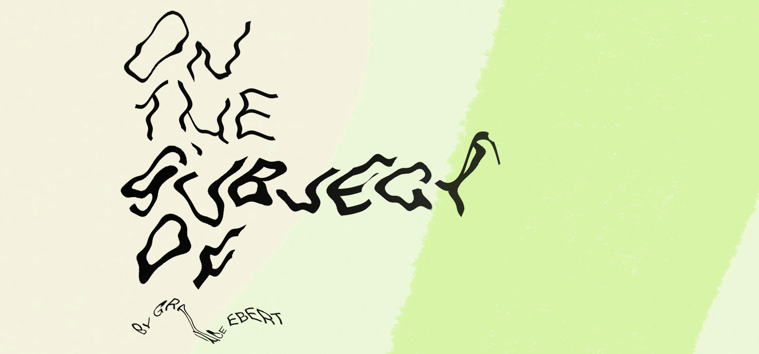 On The Subject Of: An Interview with Grace Ebert – NO FUN